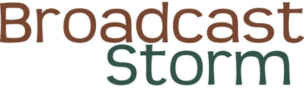 Broadcast Storm - ITperfection - Network Security